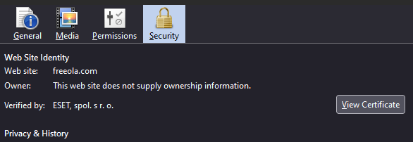 How to view the SSL Certificate of a Website