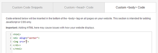 Learn to add custom body tag code to your web pages with InstantPro